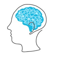Cognitive Hearing Lab – Auditory Cognitive Neuroscience & Psychophysics